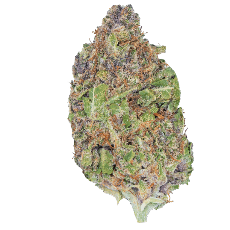 About Us | Bay Smoke best Online Platform for smoking