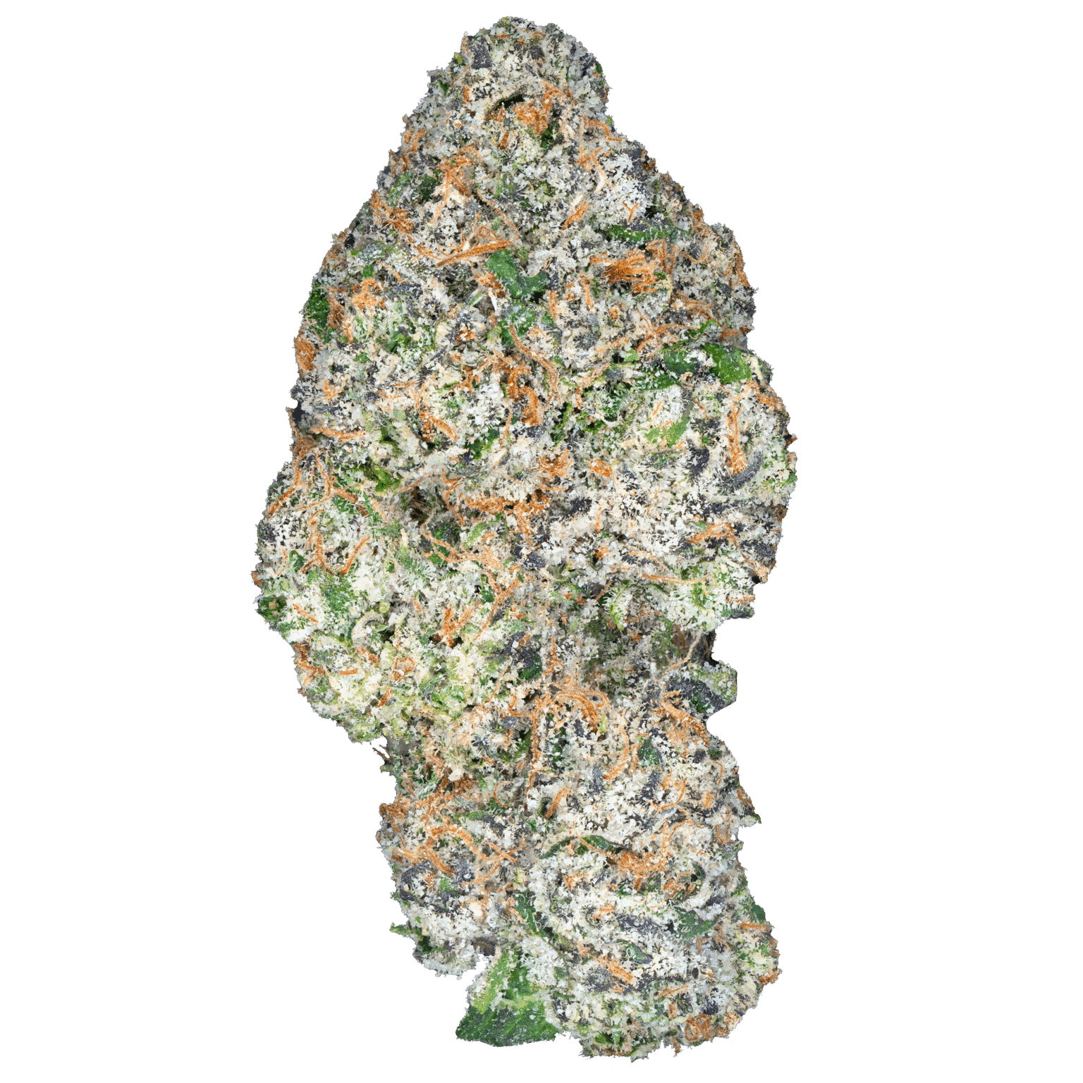 Shop | Buy Bay Smokes Online in All Over the world