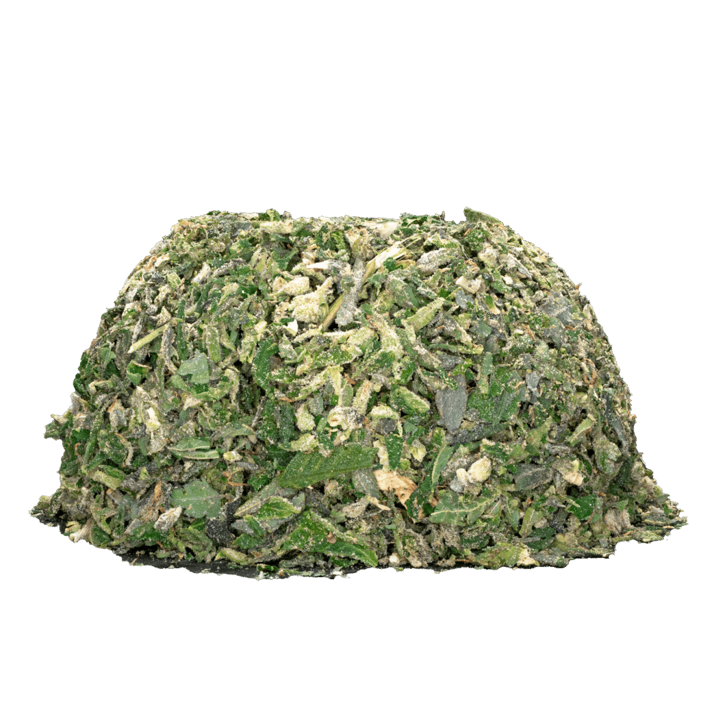 Shop | Buy Bay Smokes Online in All Over the world