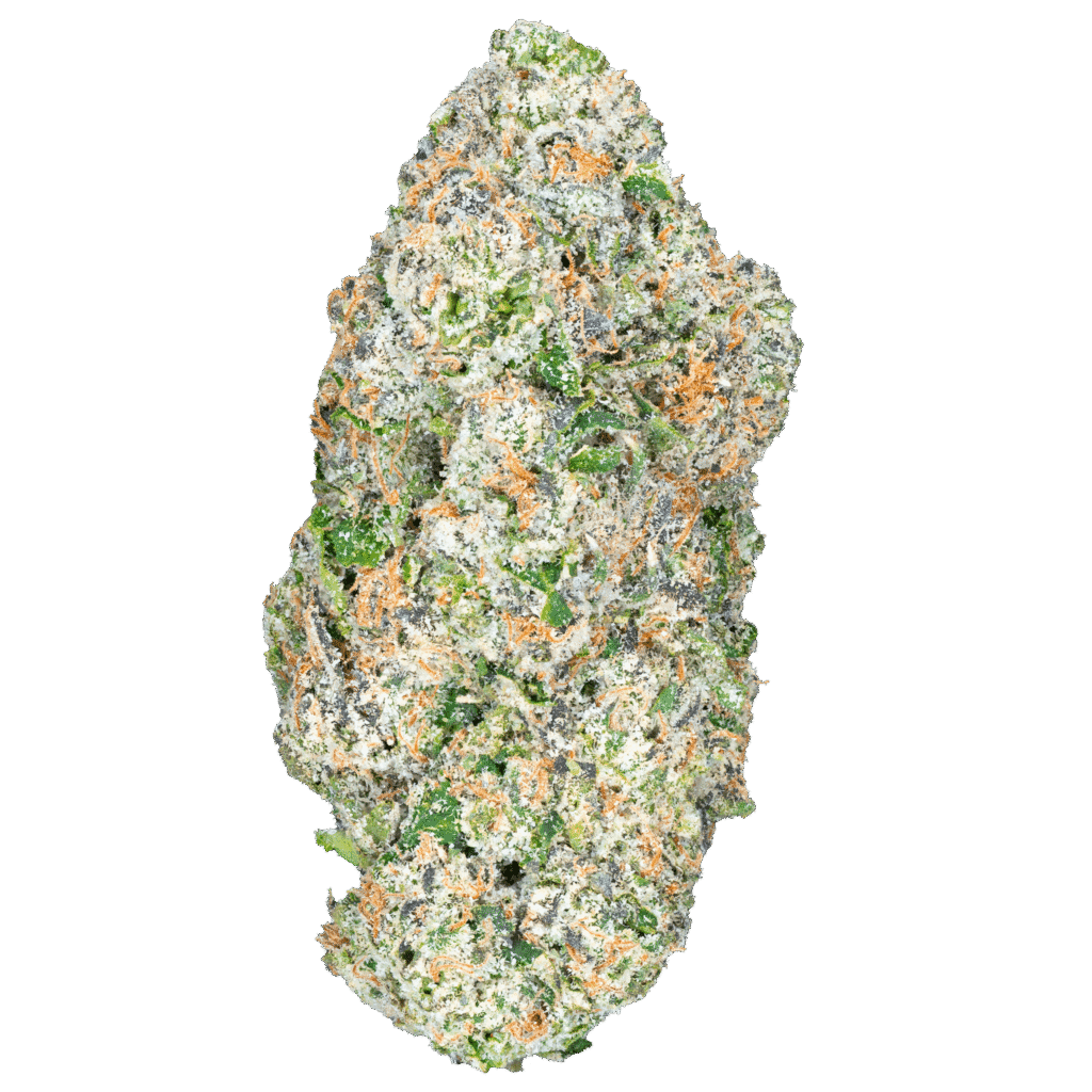 About Us | Bay Smoke best Online Platform for smoking