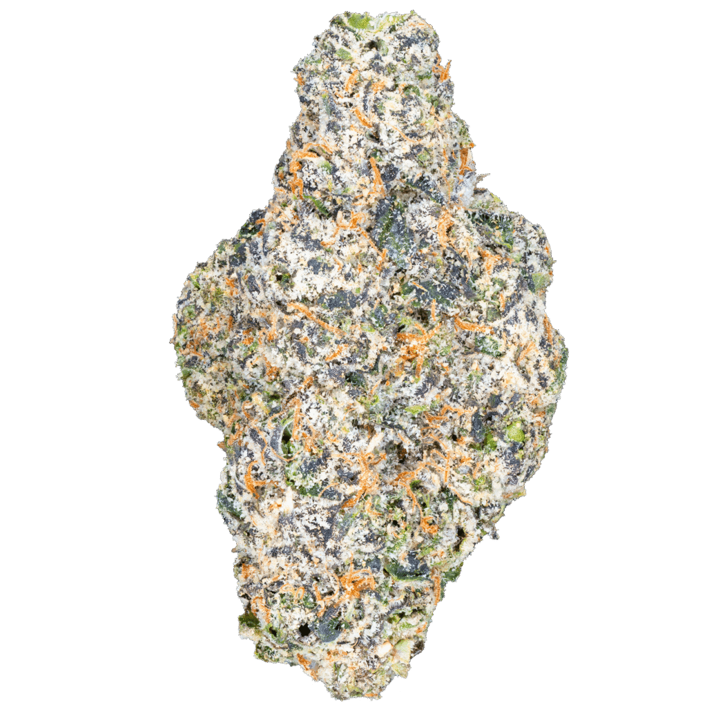 Home | Bay Smokes Online